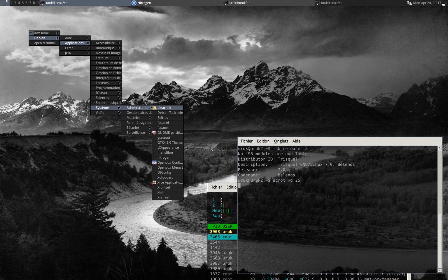 awesome | Trisquel GNU/Linux - En roue libre