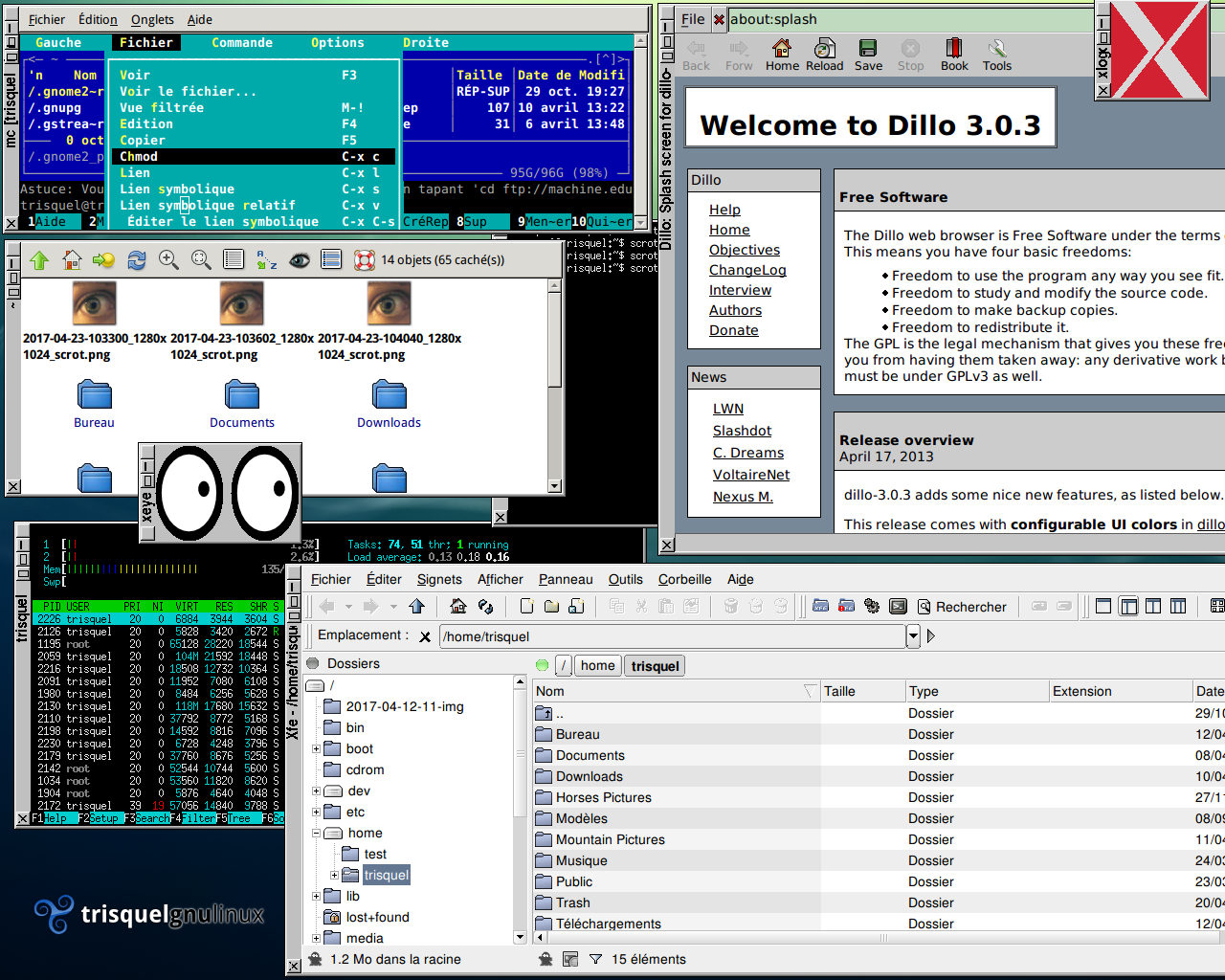 FLWM | Trisquel GNU/Linux - En roue libre