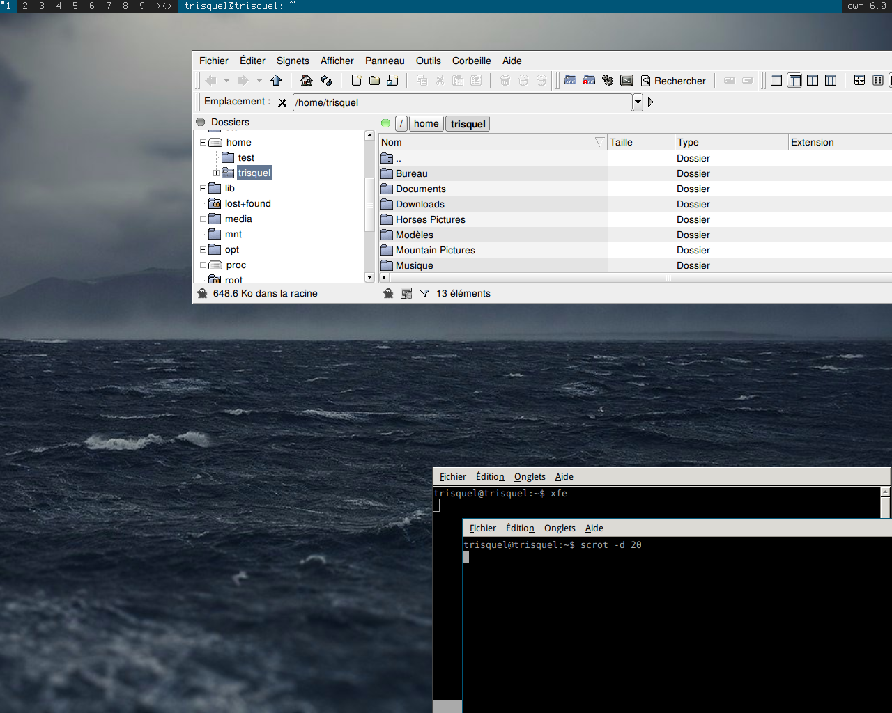 dwm | Trisquel GNU/Linux - En roue libre