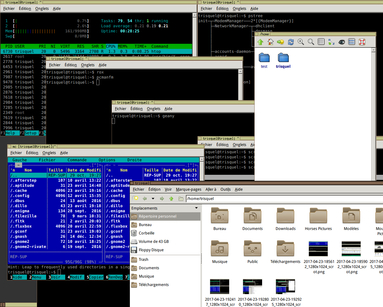 Wmii | Trisquel GNU/Linux - En roue libre